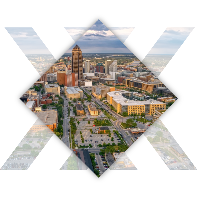 Expert Pest Control & Exterminator Service - Spidexx