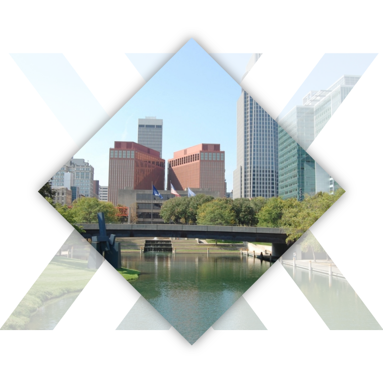 Expert Pest Control & Exterminator Service - Spidexx