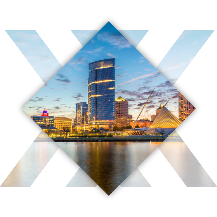 Expert Pest Control & Exterminator Service - Spidexx