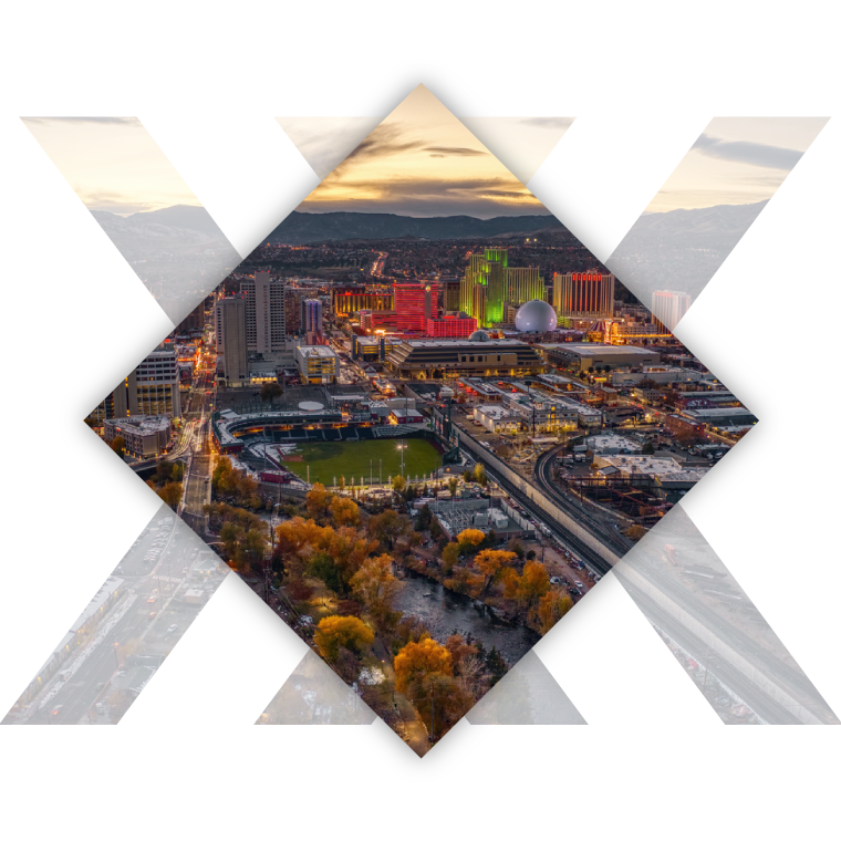 Expert Pest Control & Exterminator Service - Spidexx