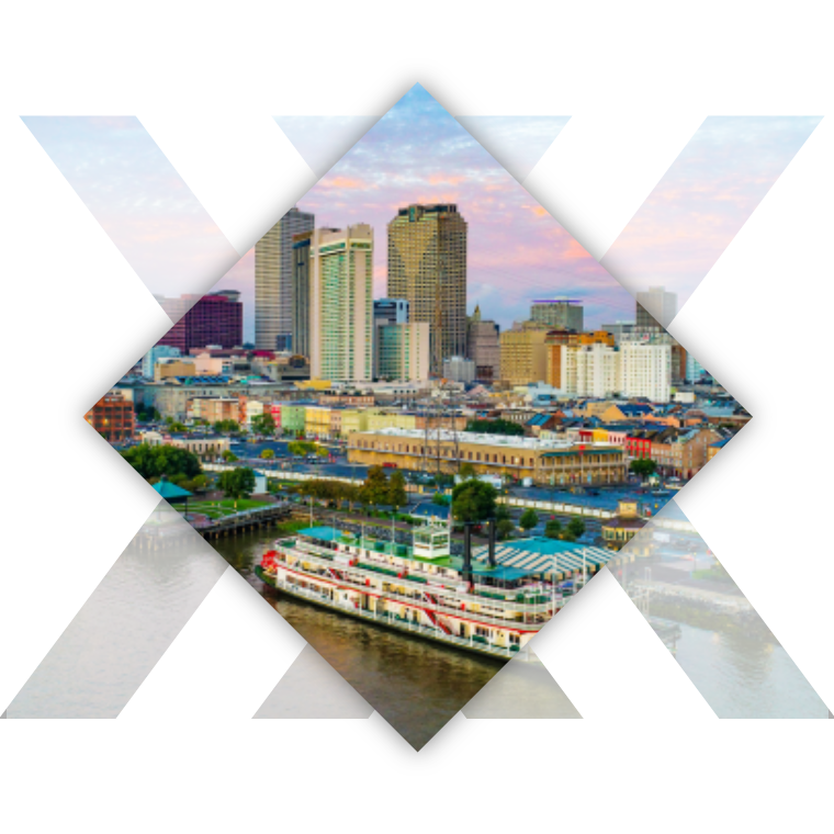 Expert Pest Control & Exterminator Service - Spidexx