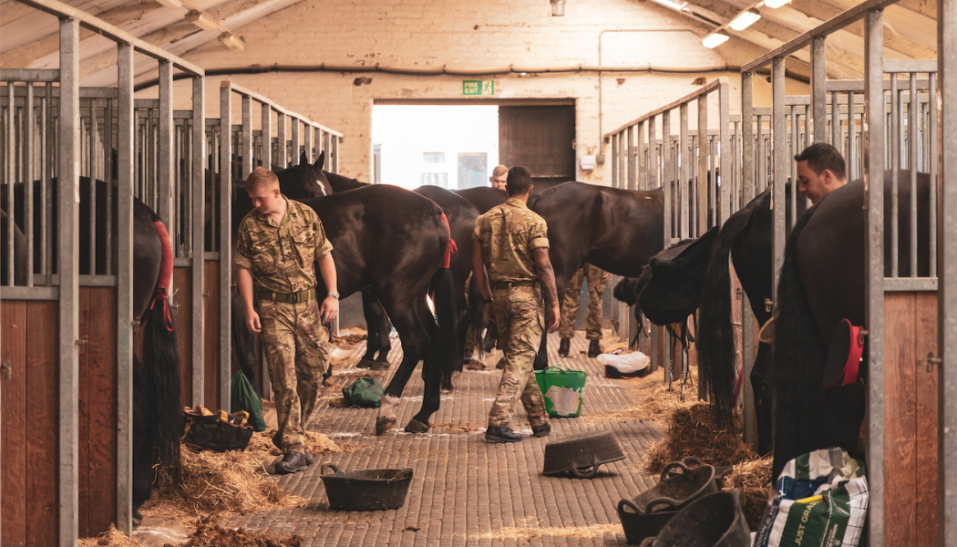 RHQ & Home Headquarters