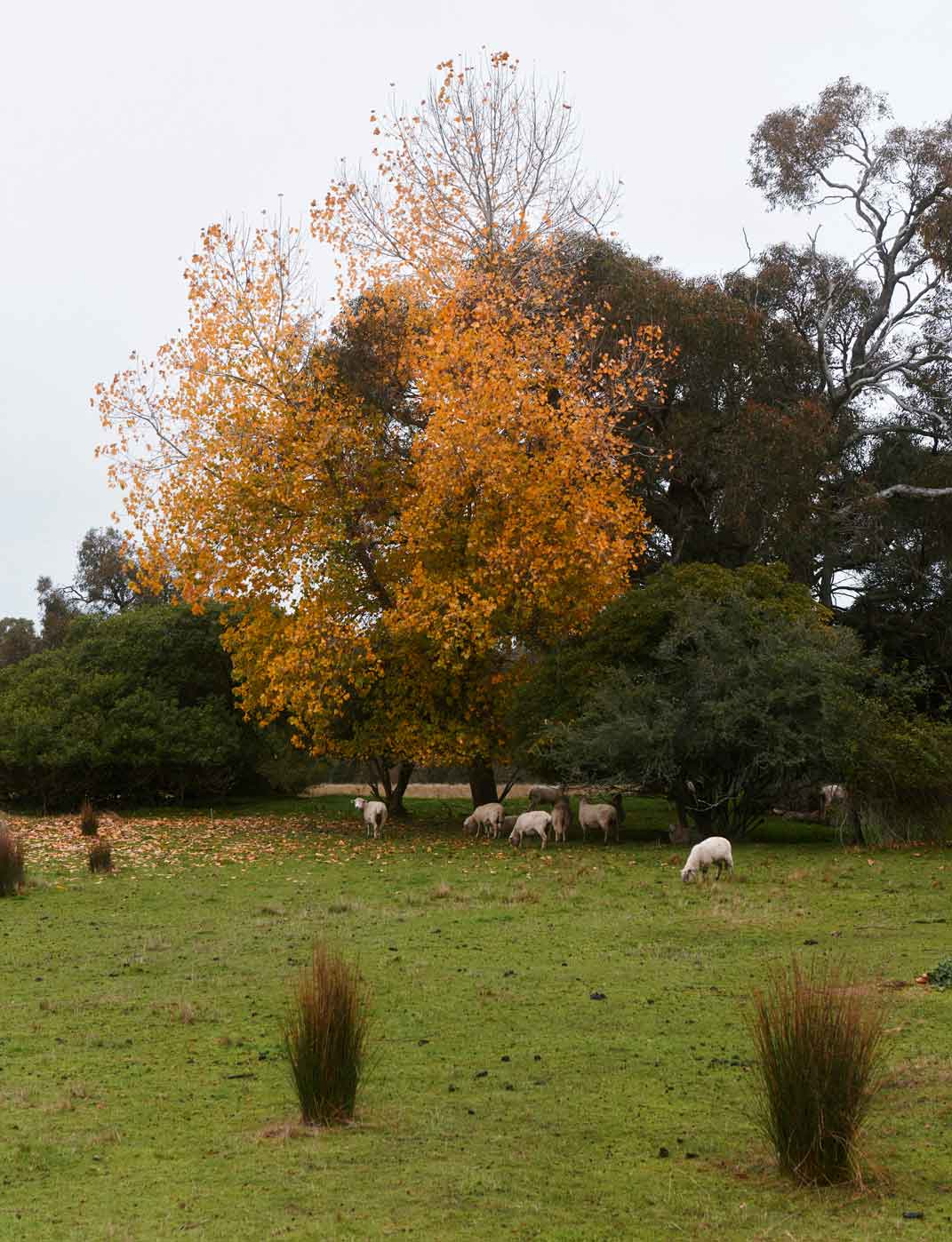 Unlocking Regional Victoria | ATG Developers