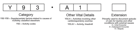 Understanding the ICD-10 Code Structure | WebPT