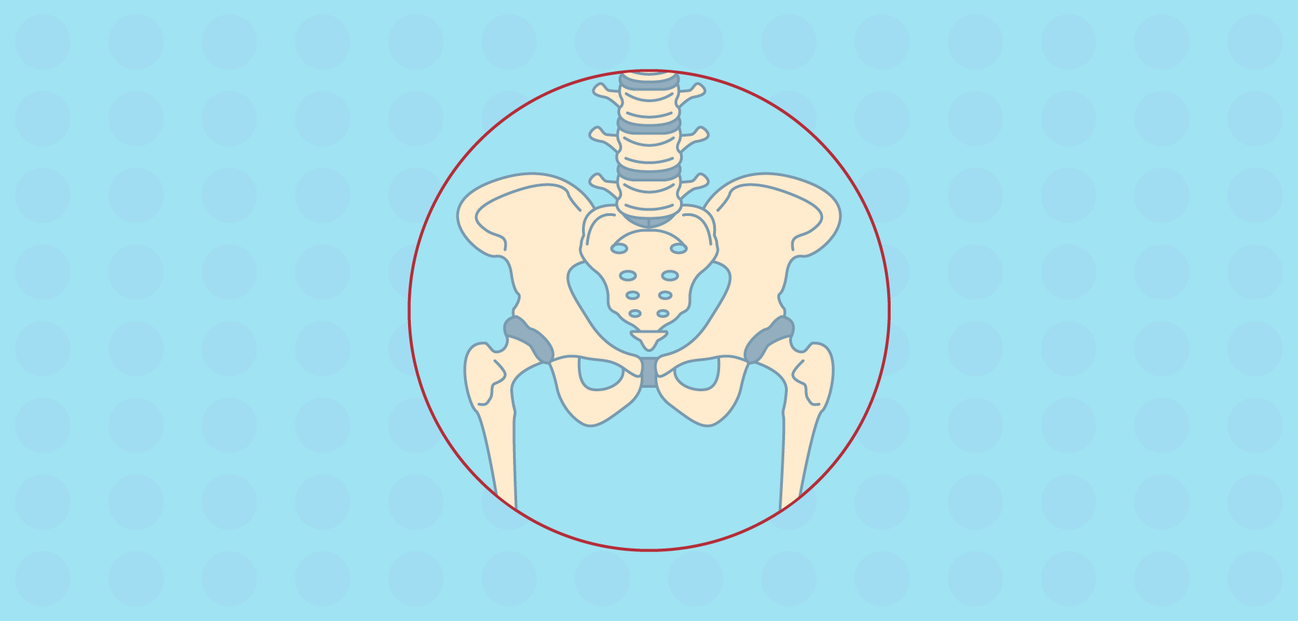 The Comprehensive Care for Joint Replacement Model | WebPT