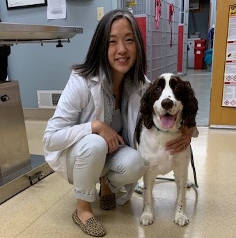 Home | Packanack Veterinary Hospital | A Full-Service Animal Hospital