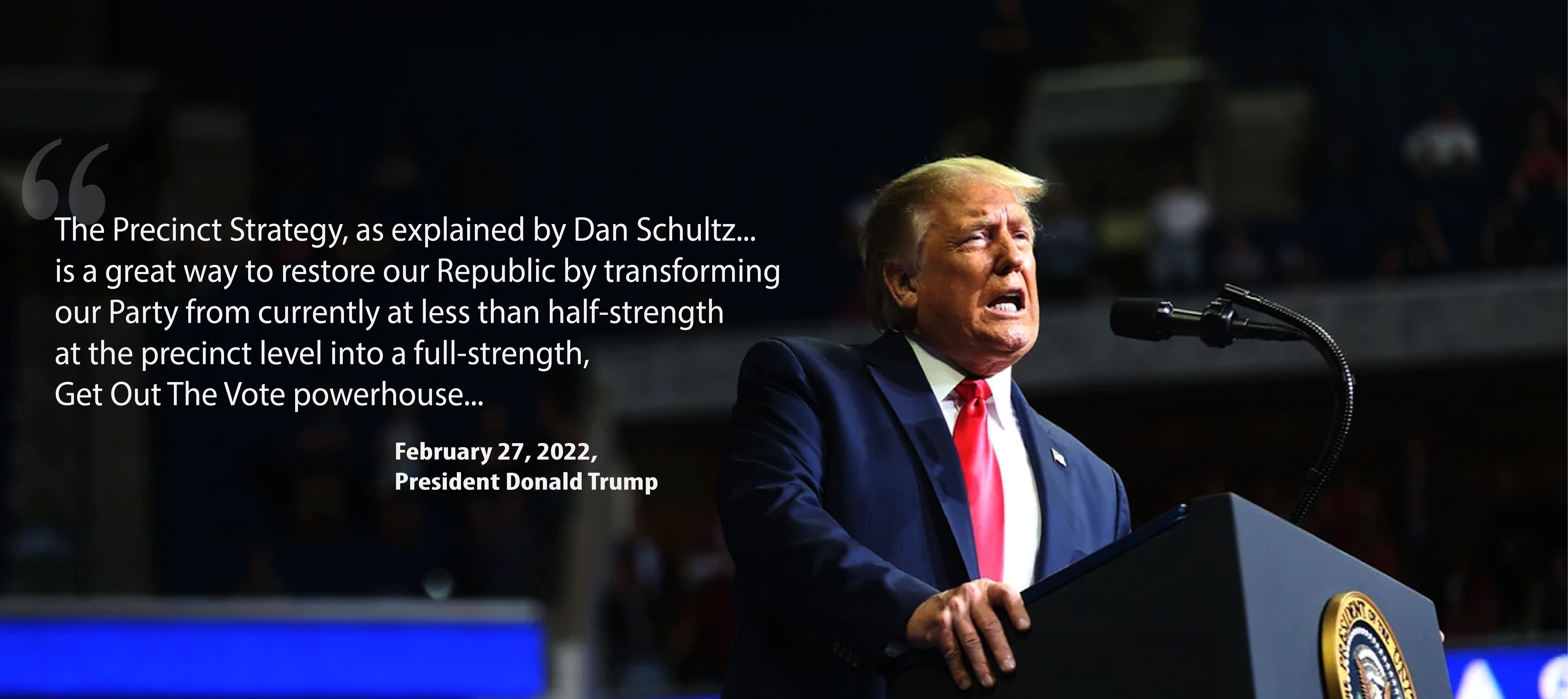 Precinct Strategy - Home