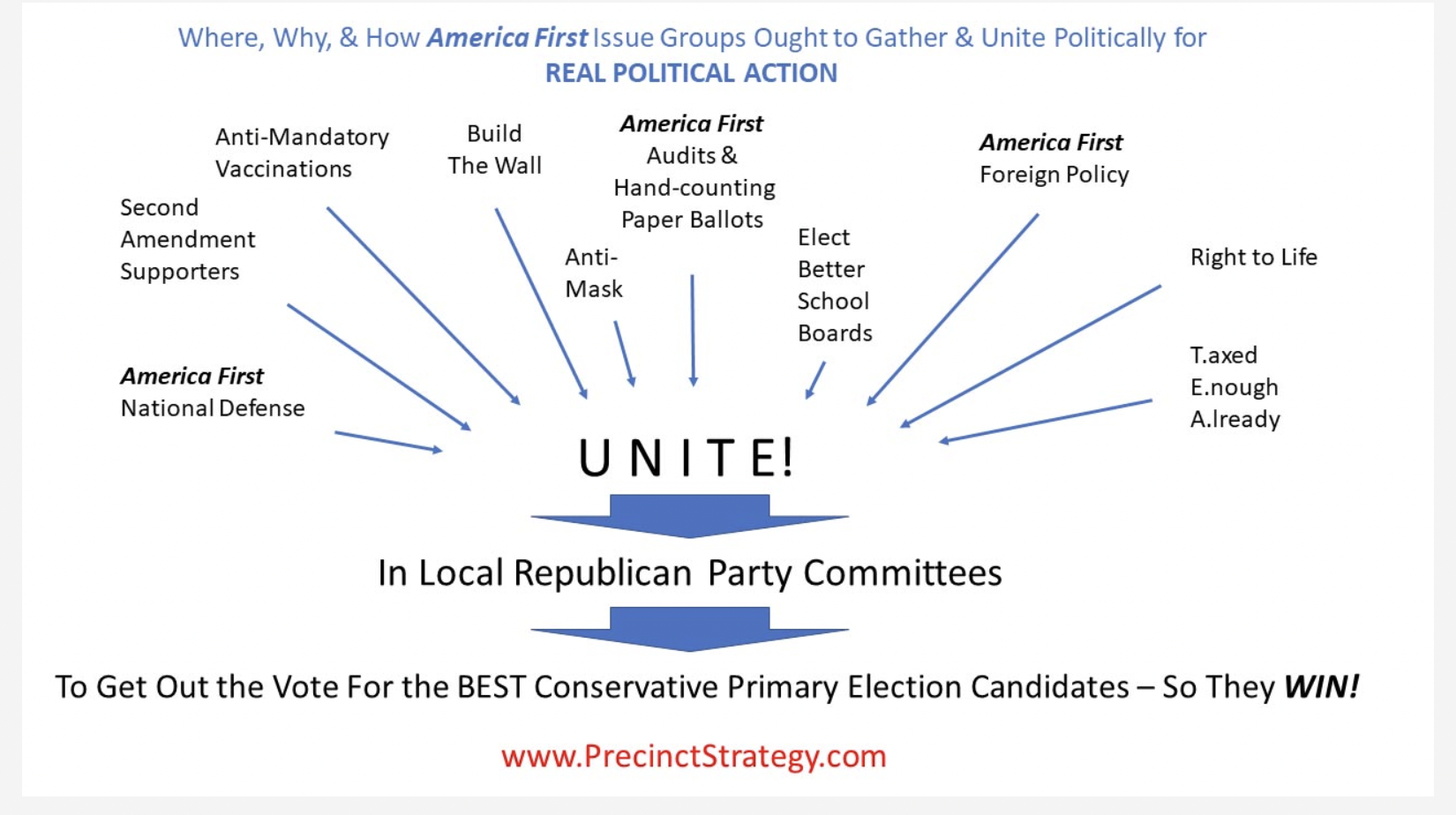 Precinct Strategy - Home