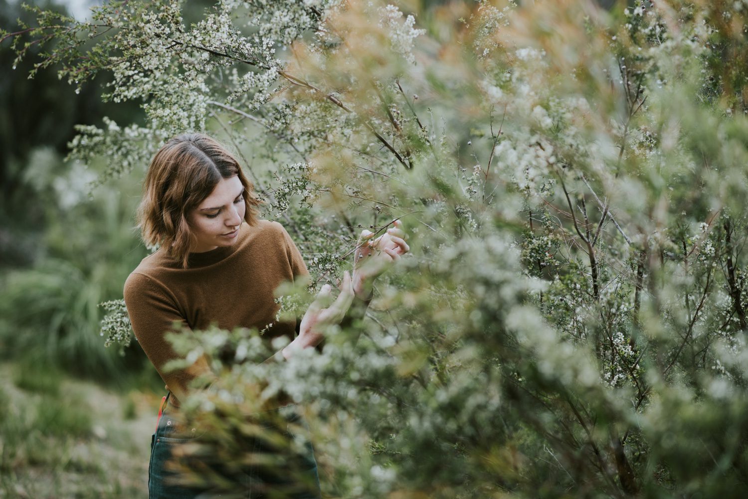 Edith Rewa Illustrator | MTNS MADE