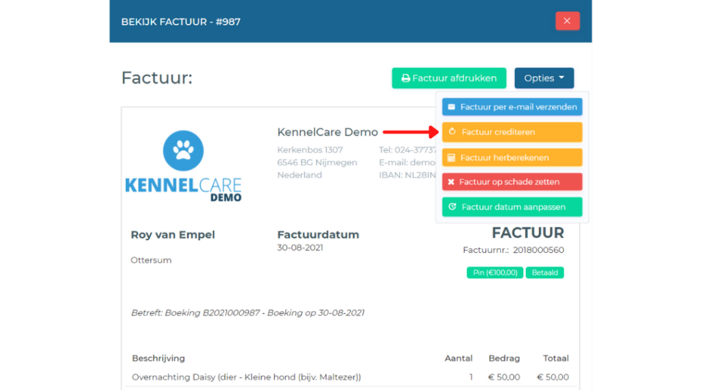Populairste kattenrassen van 2020