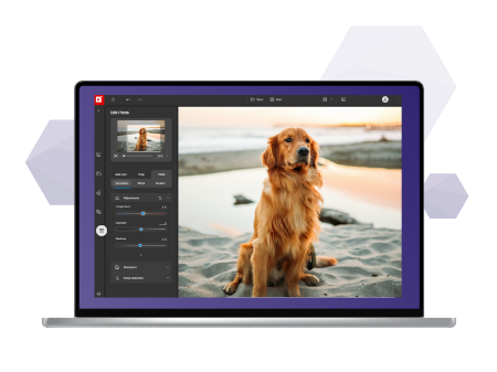 Avanquest.com | Our Products