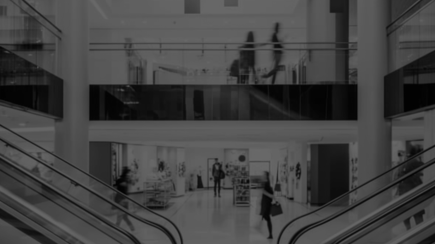 Wills & Co Insurance