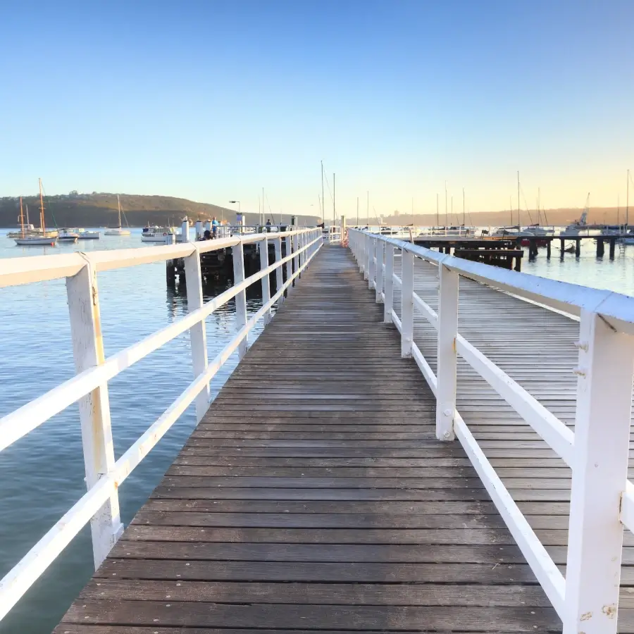 Professional Mould Removal | Upper North Shore Mould Experts