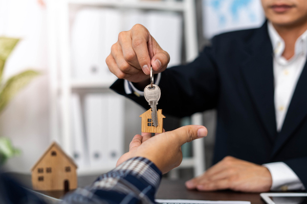 Managing Mould in Investment Properties: Obligations, Rights, and ...