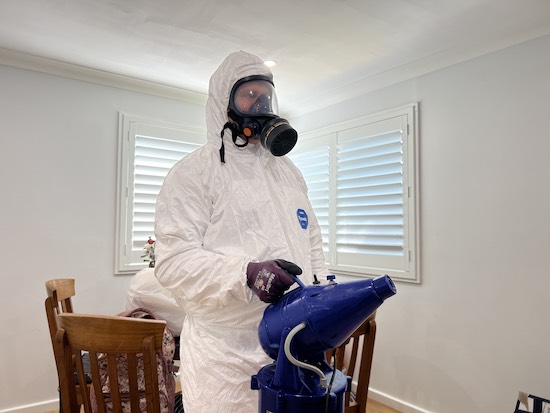 What is mould fogging