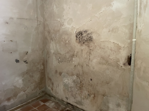 Terraced Homes in Australia: Unveiling the Common Mould Problems