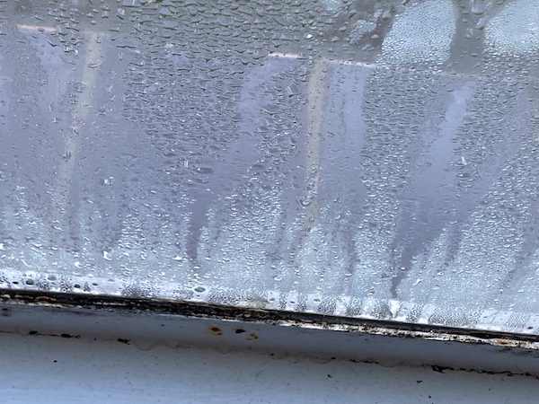 The Science Behind Mould Formation on Windows