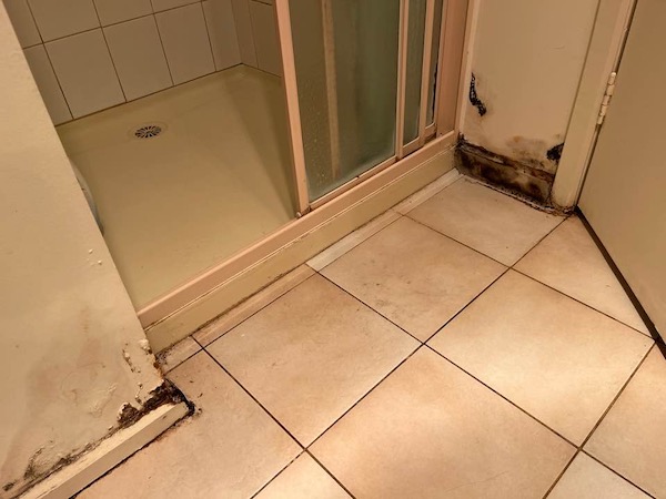 Understanding Shower Leaks and Waterproofing: Causes, Detection, and ...