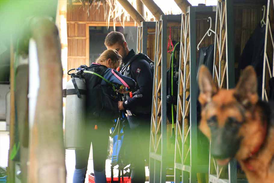 About Us | Bongo Bongo Divers