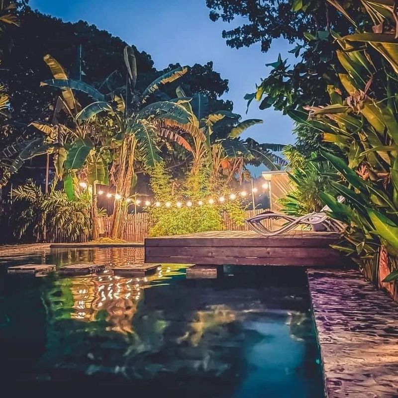 About Us | Bongo Bongo Divers