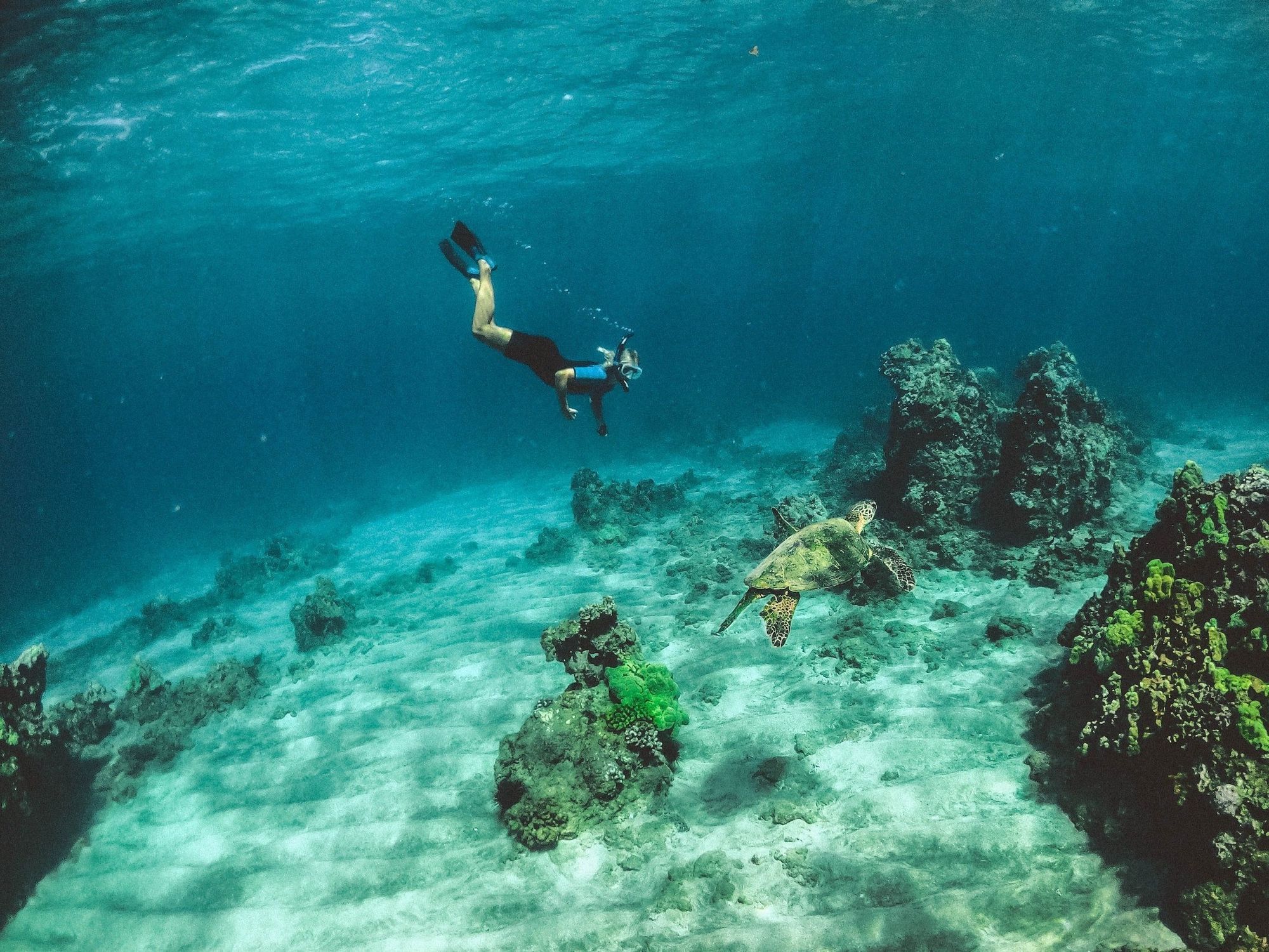 PADI Dive Courses | Bongo Bongo Divers