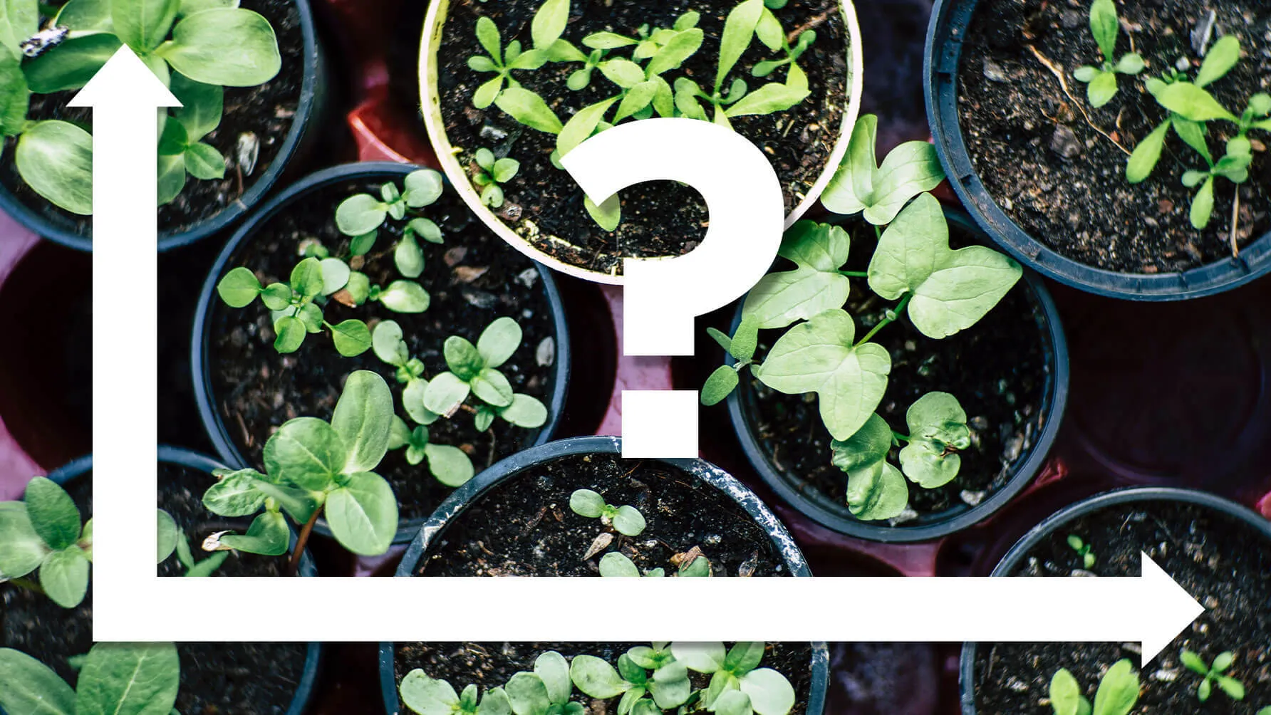 Most Common Corporate Innovation Programs