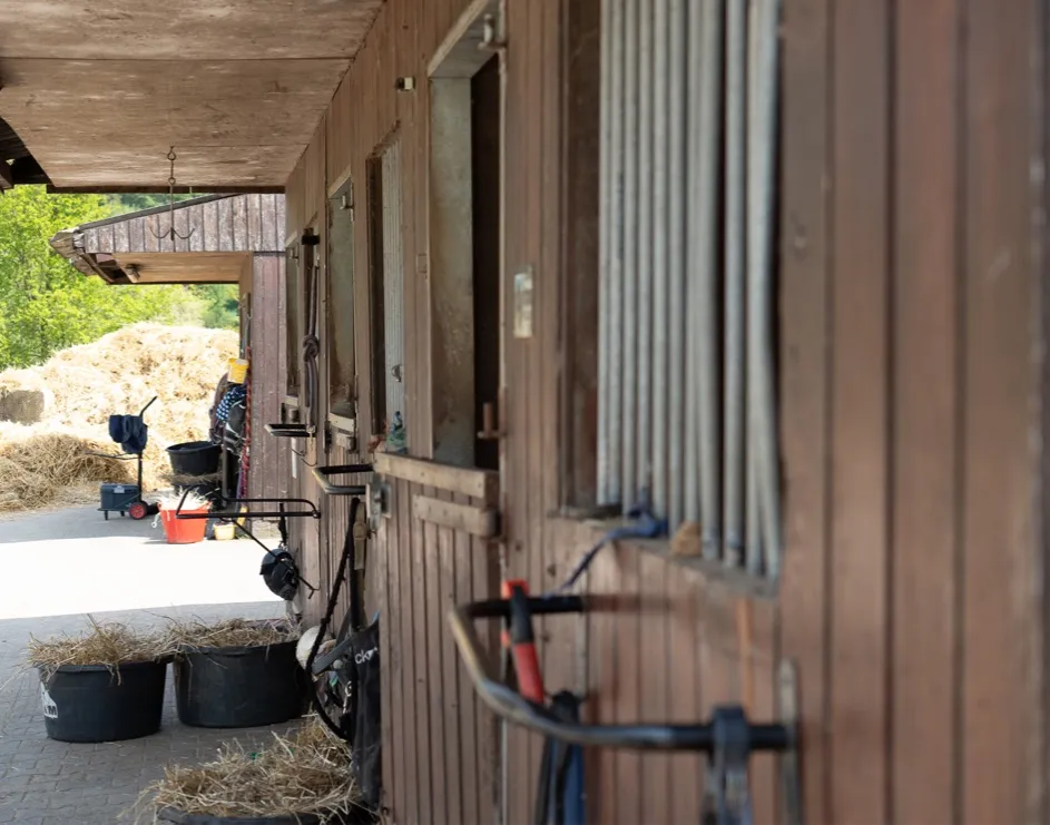 Einstallung | Karen von Schoening