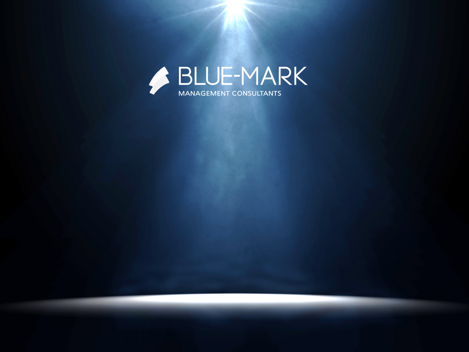 Blue-Mark Management Consultants