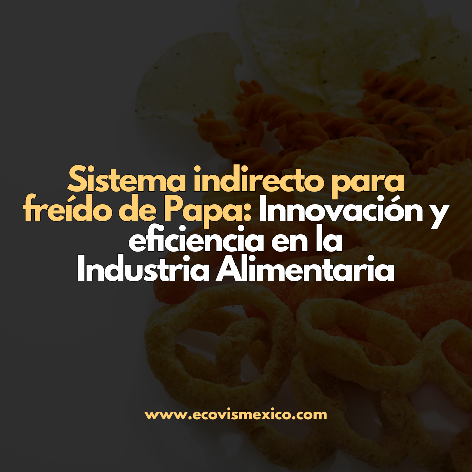 Sistema indirecto para freído de Papa: Innovación y eficiencia en la ...