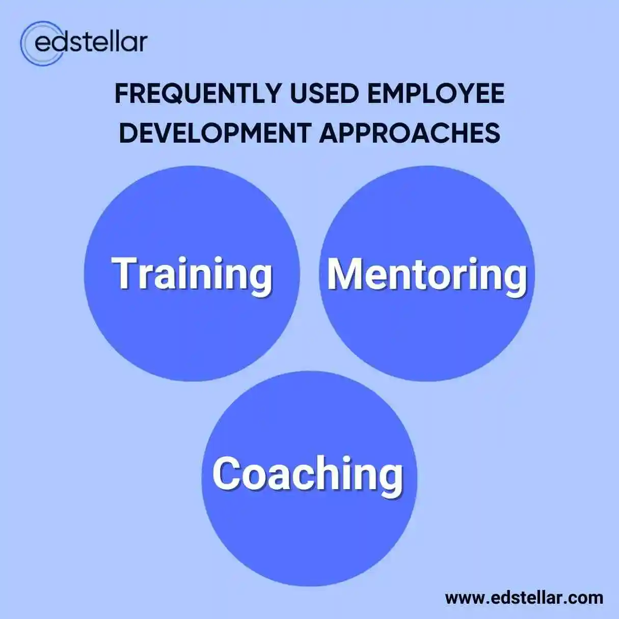Training vs Coaching vs. Mentoring: How Do They Differ?