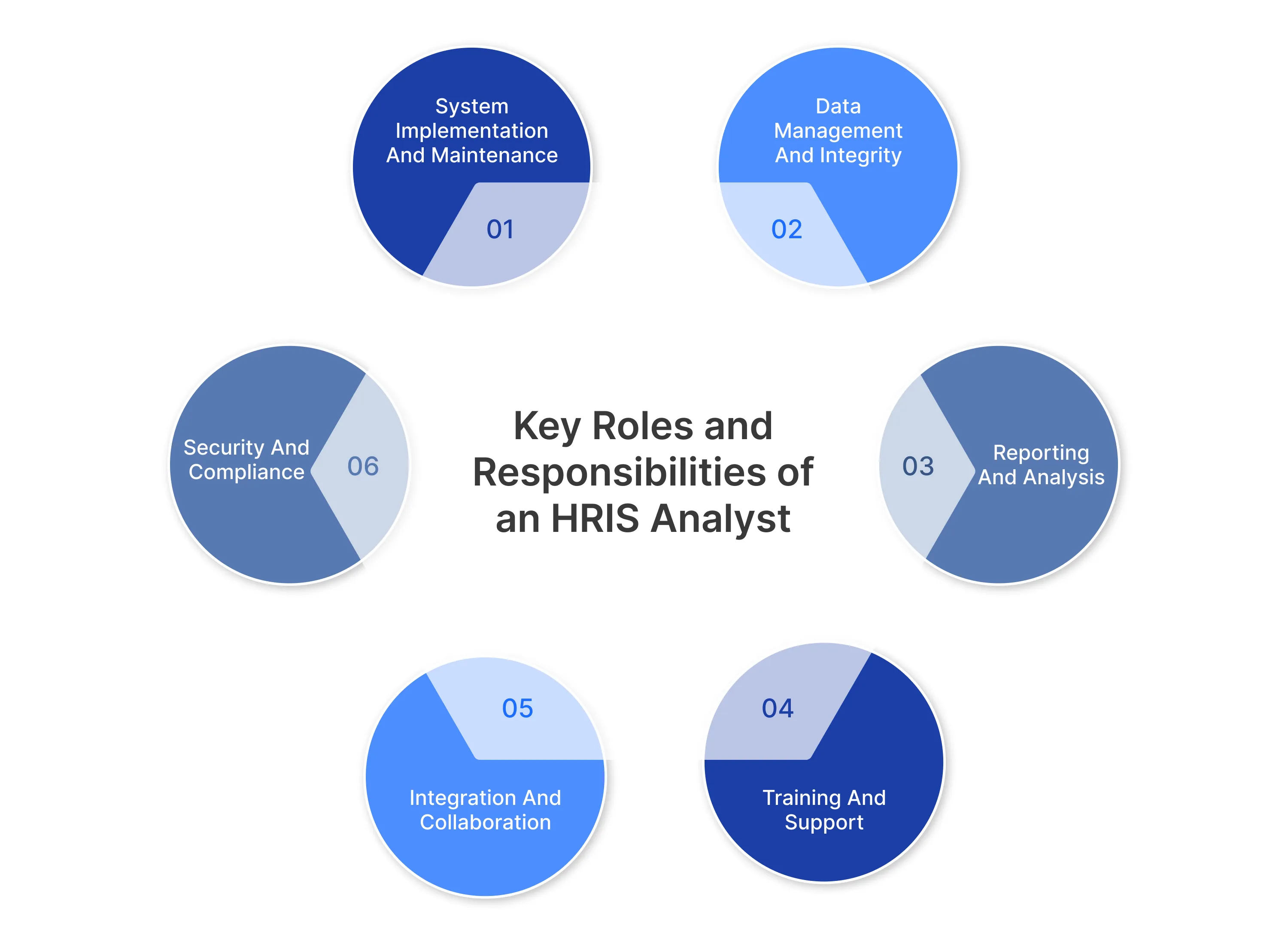 Roles & Responsibilities: HRIS Analysts