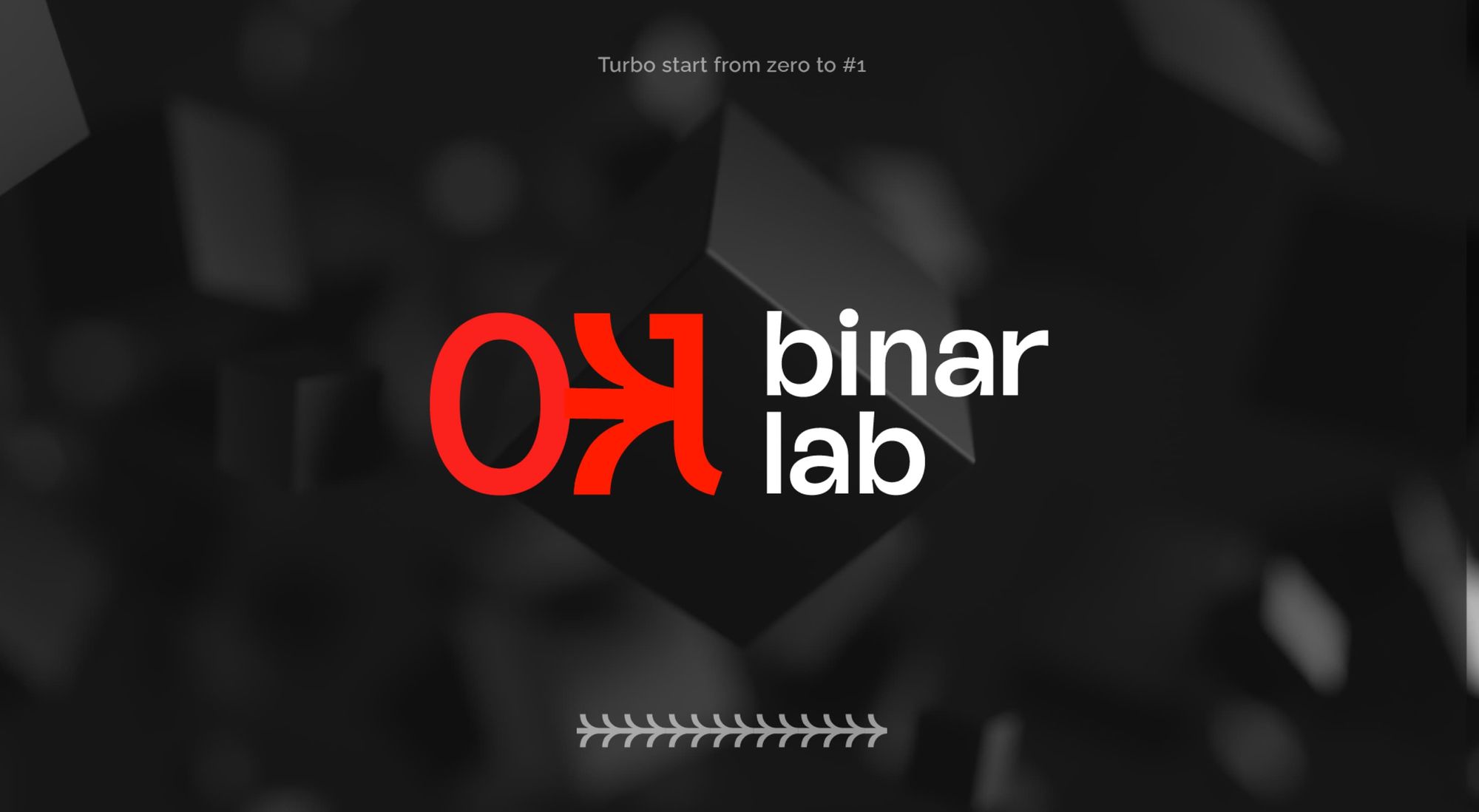 Binar Lab Brand Identity - Aida Pioneer
