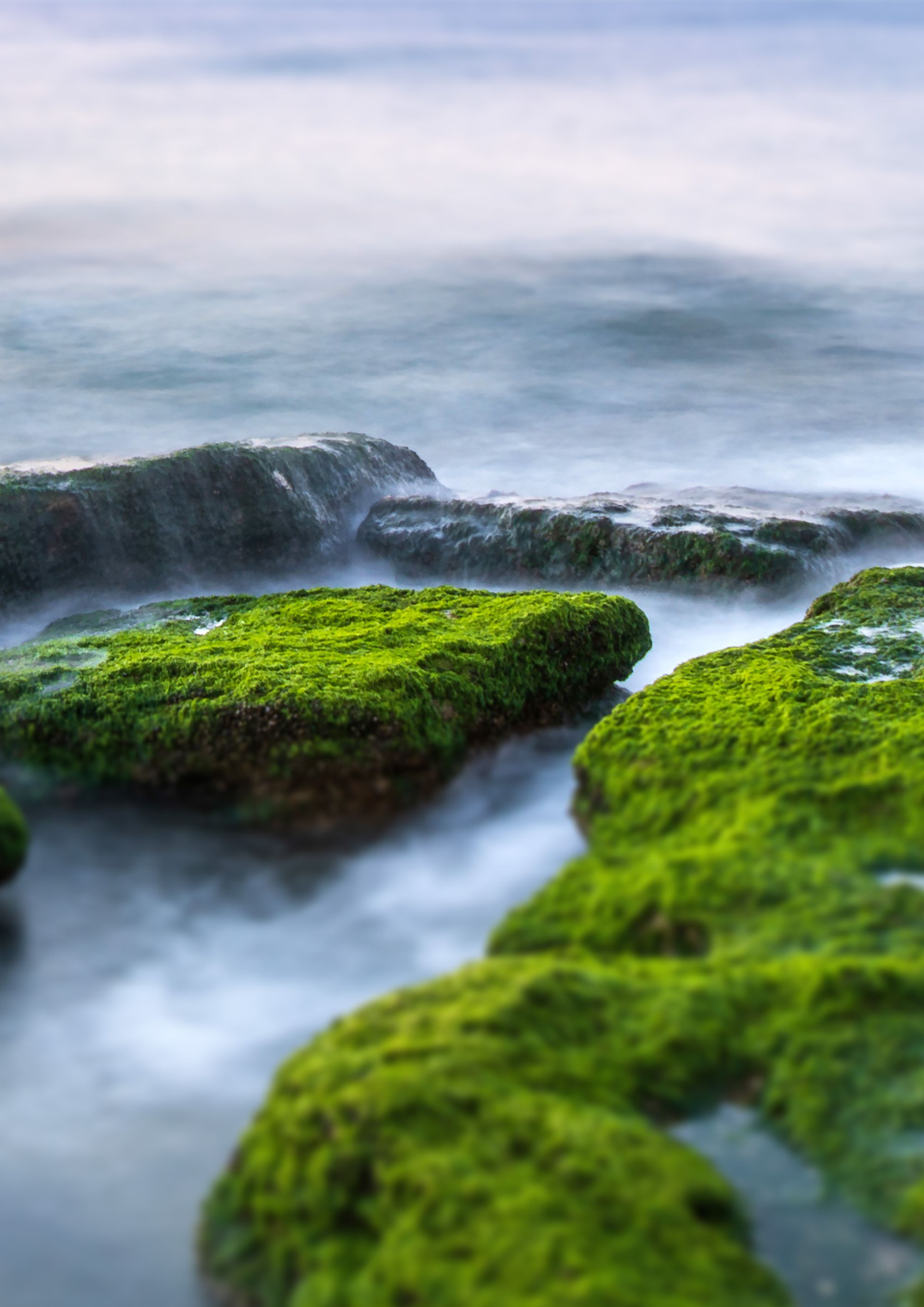 Cyanoskin - Worlds Most CO2 Absorbent Paint