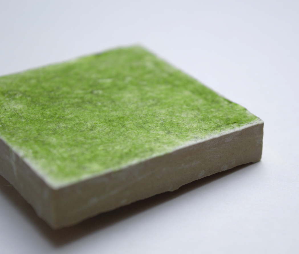 Cyanoskin - Worlds Most CO2 Absorbent Paint