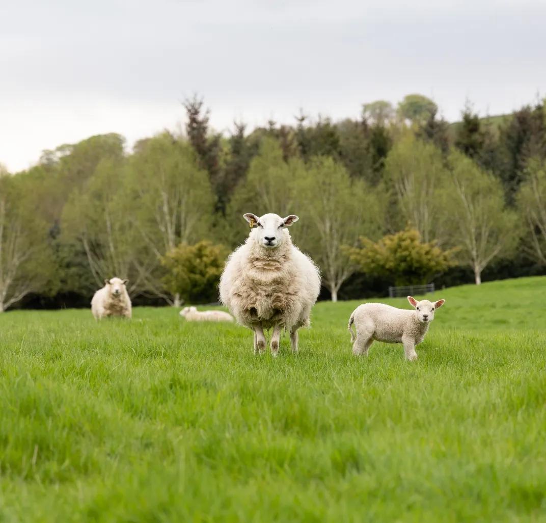 Plan your visit - Hopton Hall