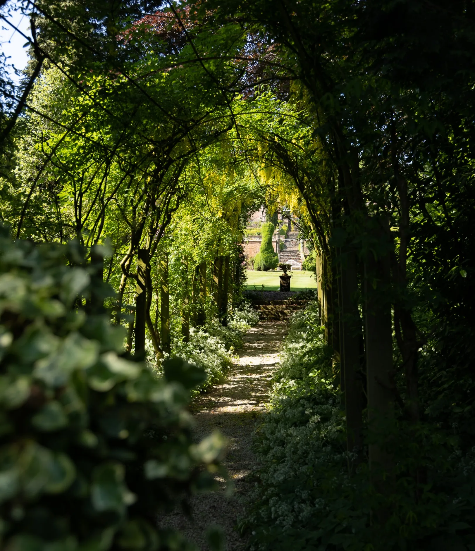 Gardens - Hopton Hall