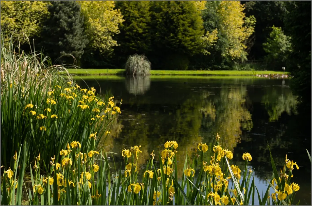 Plan your visit - Hopton Hall