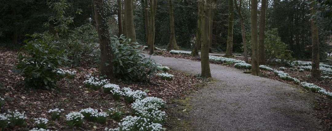 Plan your visit - Hopton Hall