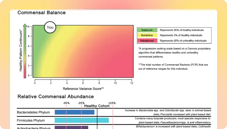 The Ultimate Guide to Functional Lab Testing
