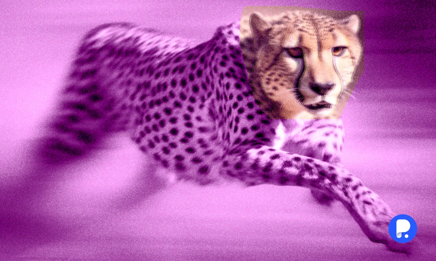 How Long Does KDP Take to Publish a Book? Insights into the Speed of ...