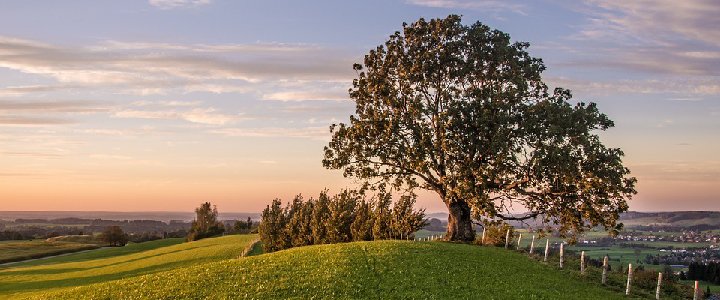 Pauper’s Funeral: What happens if your family can’t afford a funeral - Bare