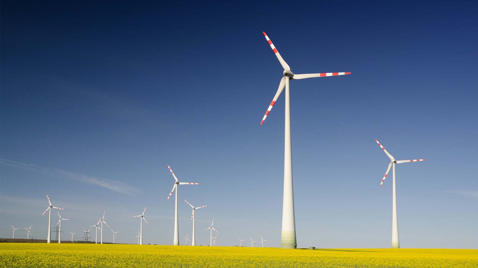 FAST-Infra Label | News