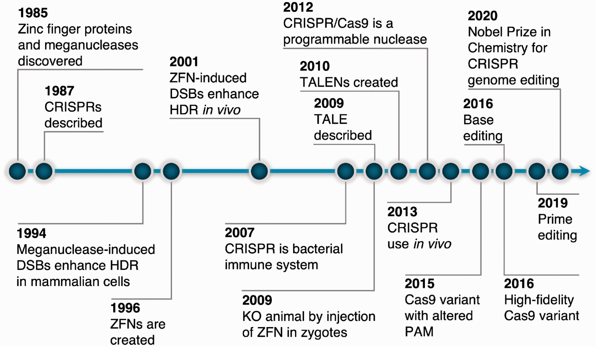 The Future of Gene Editing: CRISPR, Technologies, and Ethical ...