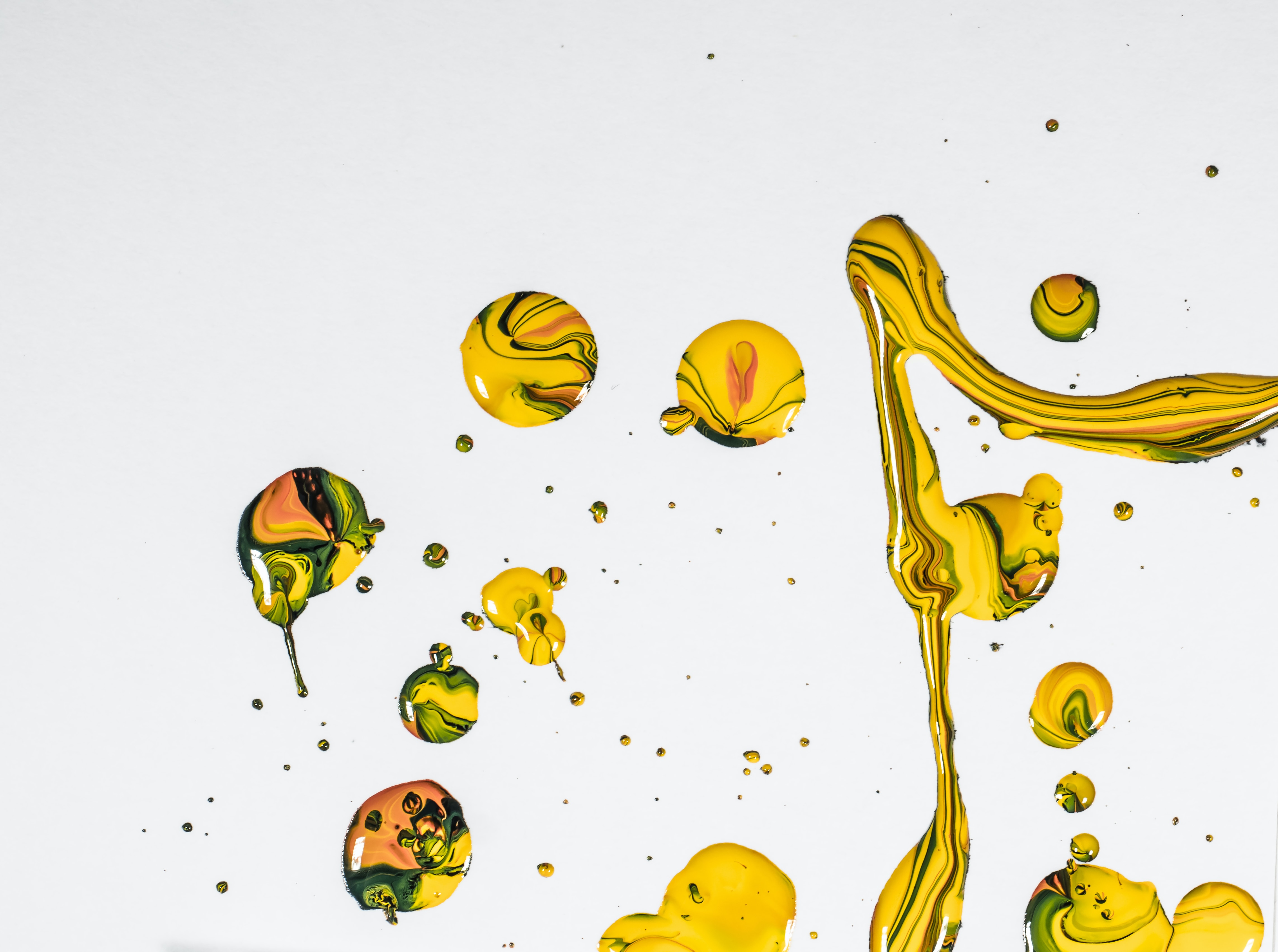 Conference Program Overview