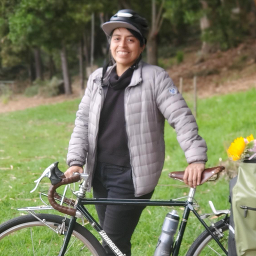 Ridepanda — About us