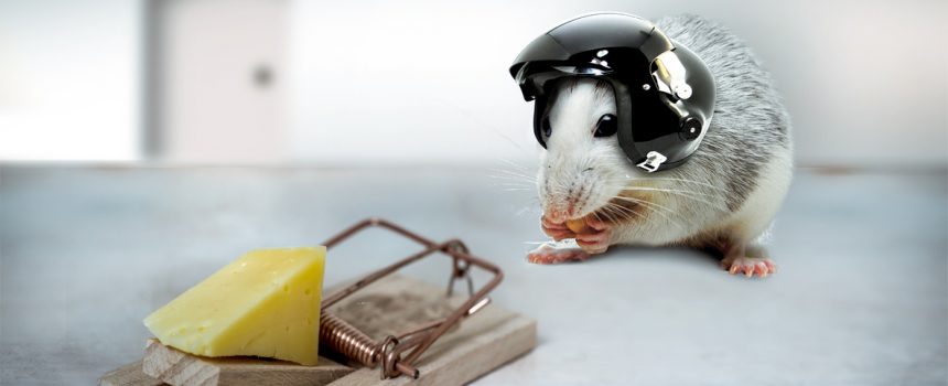 Week #1 – Getting the Most Cheese from Demand Response: Eliminating ...