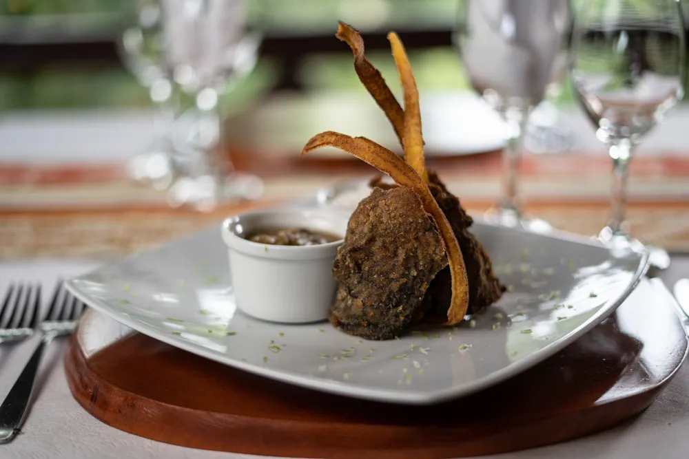 Dining | Minga Lodge & Reserve