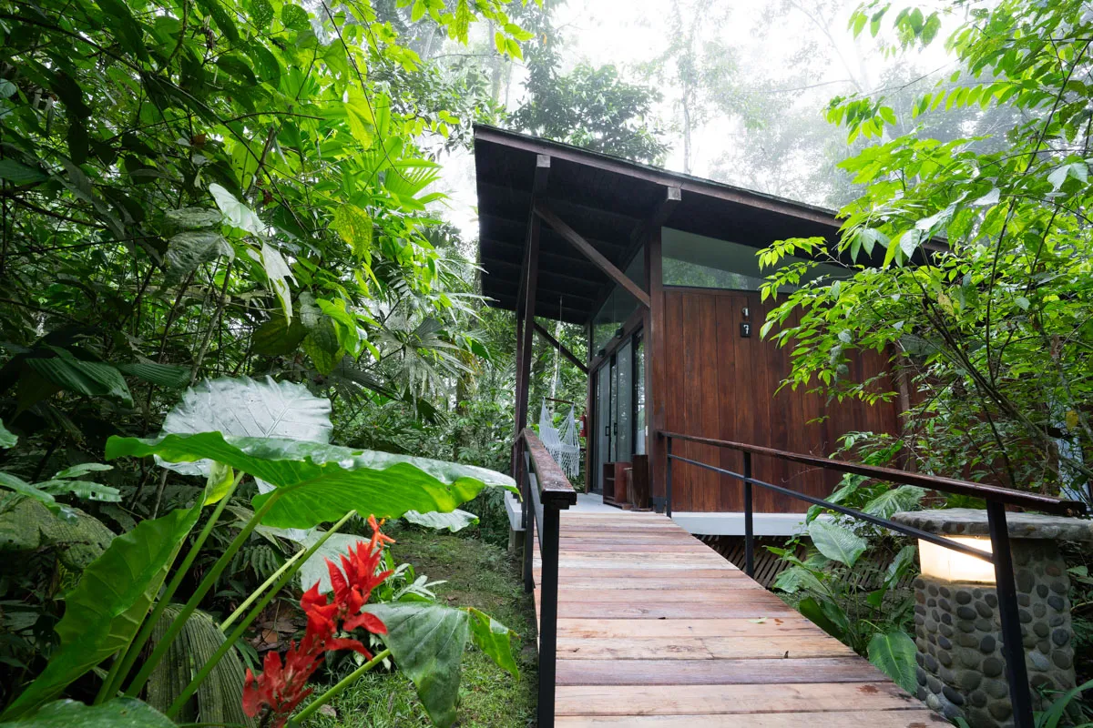 Minga Lodge & Reserve Best Lodge in Ecuador