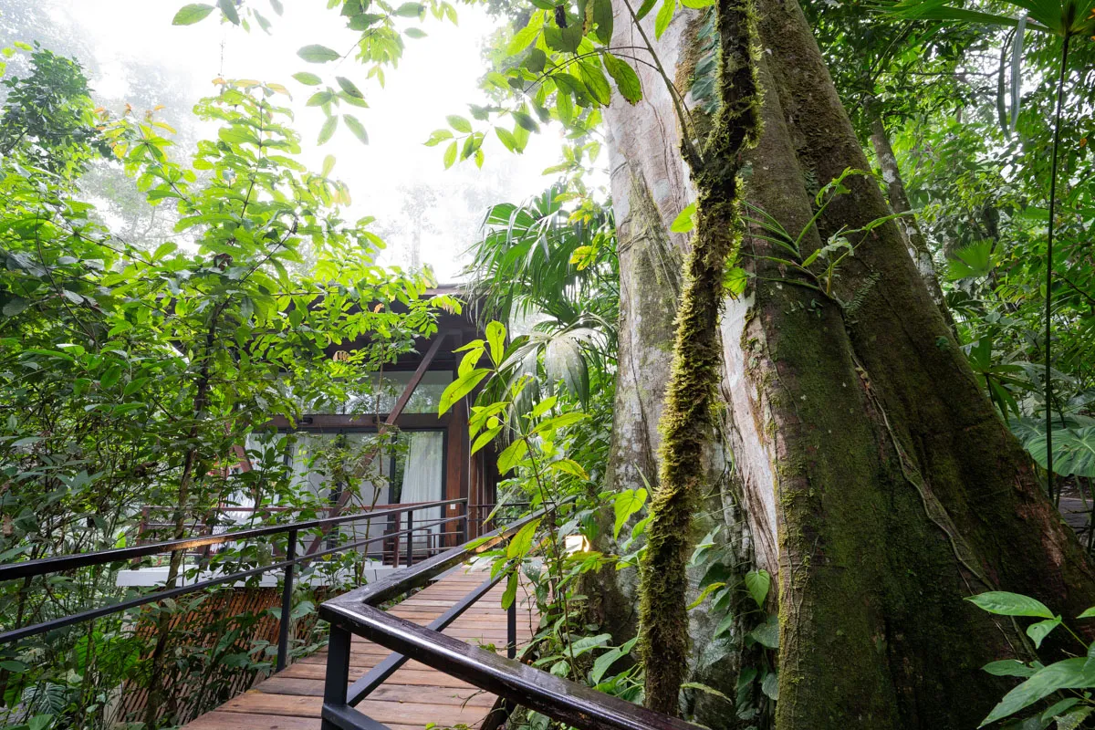 Minga Lodge & Reserve Best Lodge in Ecuador