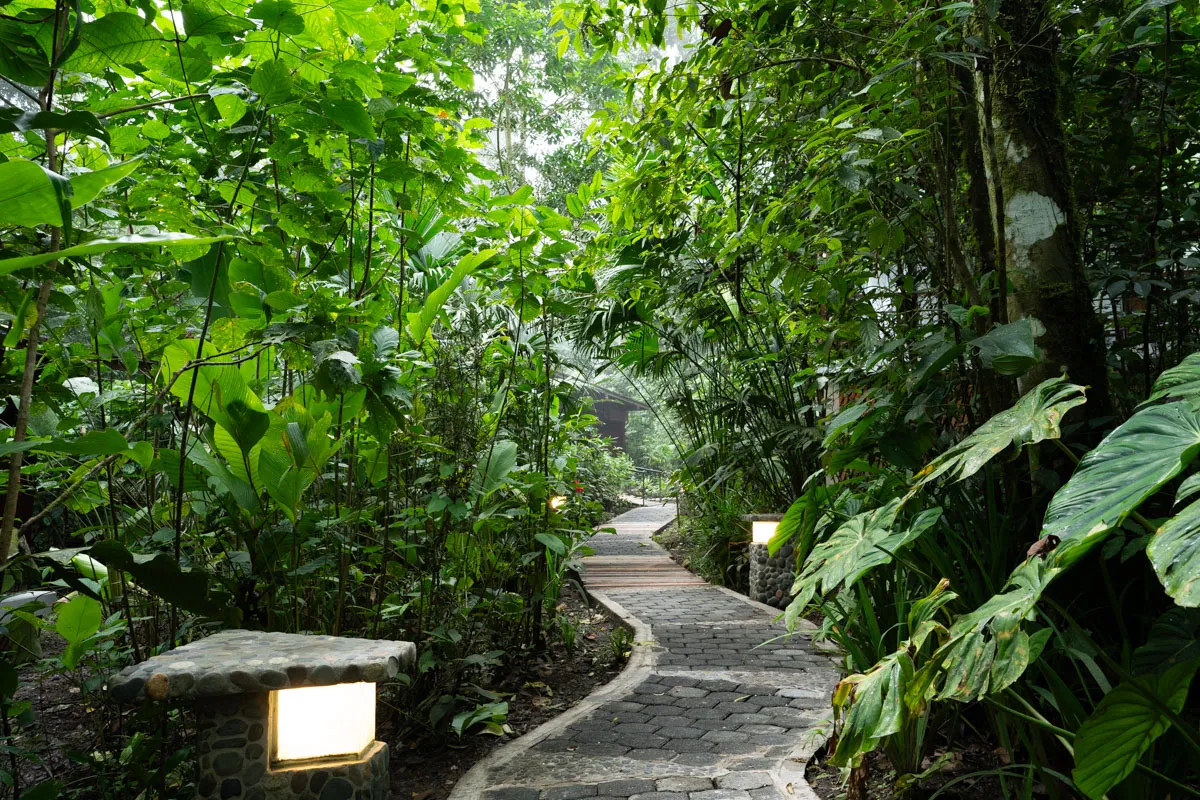 Minga Lodge & Reserve Best Lodge in Ecuador